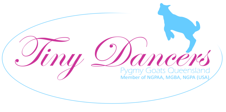 About Us – Tiny Dancers